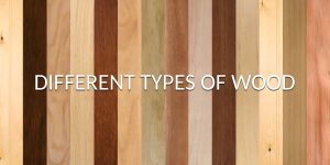 Oak vs. American Walnut vs. Teak vs. Birch vs. Beech vs. Acacia: A ...